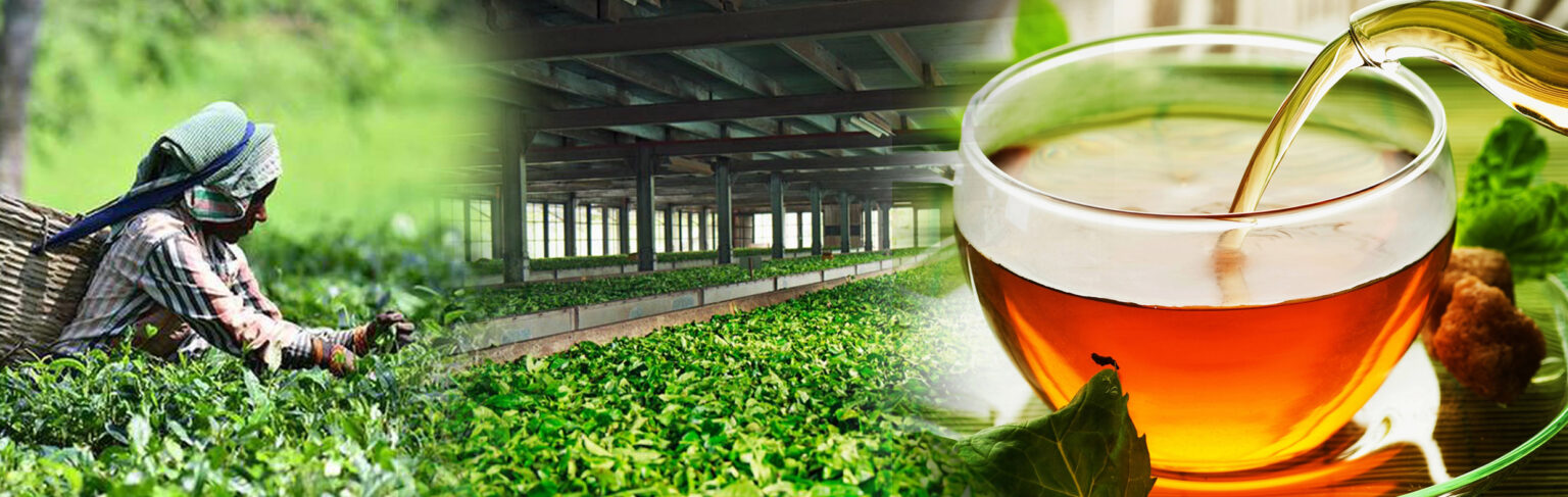 Industry Sectors – Ministry of Industry and Entrepreneurship Development